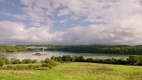 Wallpaper With Birds Stock Videos – Royalty-Free HD & 4K Videos | Pond5