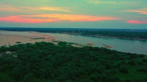 Wallpaper With Birds Stock Videos – Royalty-Free HD & 4K Videos | Pond5