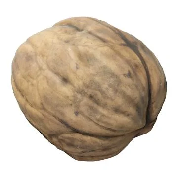 Walnut Illustrations ~ Stock Walnut Vectors & Clip Art | Page 9