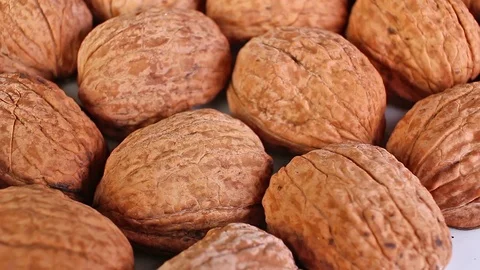 Big Nuts Vidios Stock Videos – Royalty-Free HD & 4K Videos