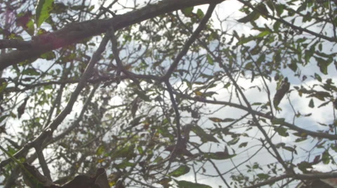 Farting Stock Video Footage | Royalty Free Farting Videos | Page 6