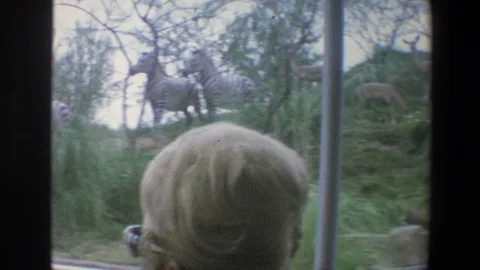 Disney Documentary Films Stock Videos – Royalty-Free HD & 4K Videos