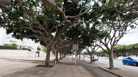 Wandering Through Akdal: A Visual Tale o... | Stock Video | Pond5
