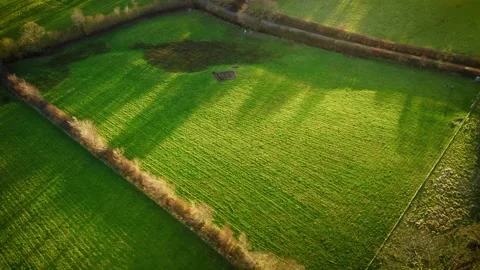 Initial Shot Stock Videos – Royalty-Free HD & 4K Videos