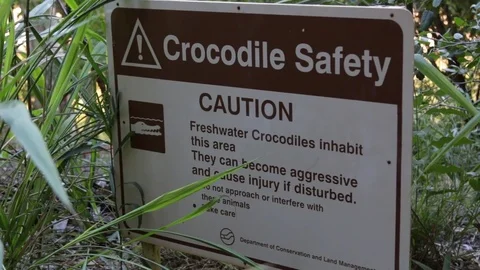 Warning Crocodile Safety sign in Austral... | Stock Video | Pond5