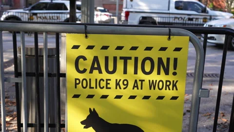 Washington DC 2023 - Caution Police K9 A... | Stock Video | Pond5