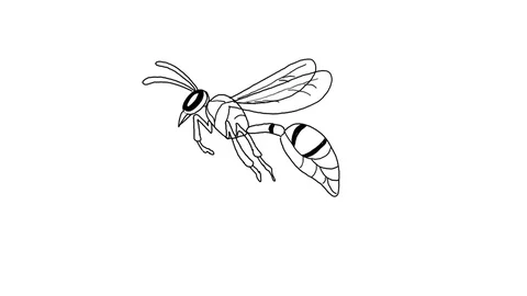 Wasp Flying Drawing 2D Animation | Stock Video | Pond5