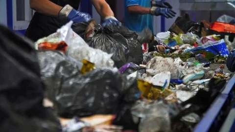 Garbage Sorting Stock Videos – Royalty-Free HD & 4K Videos