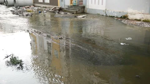 Waste, trash and garbage floated on a po... | Stock Video | Pond5