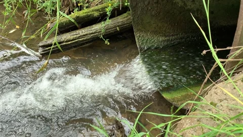 Flow From Mud Stock Video Footage | Royalty Free Flow From Mud Videos ...