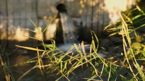 Backdrop Sewerage Stock Video Footage | Royalty Free Backdrop Sewerage ...