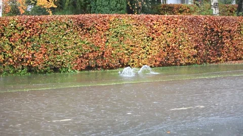 Water being forced up through a man hole... | Stock Video | Pond5