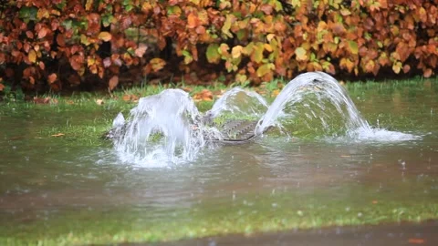 Water being forced up through a man hole... | Stock Video | Pond5