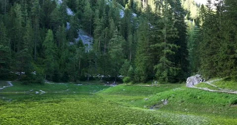 Water bloom, reproduction of phytoplankt... | Stock Video | Pond5