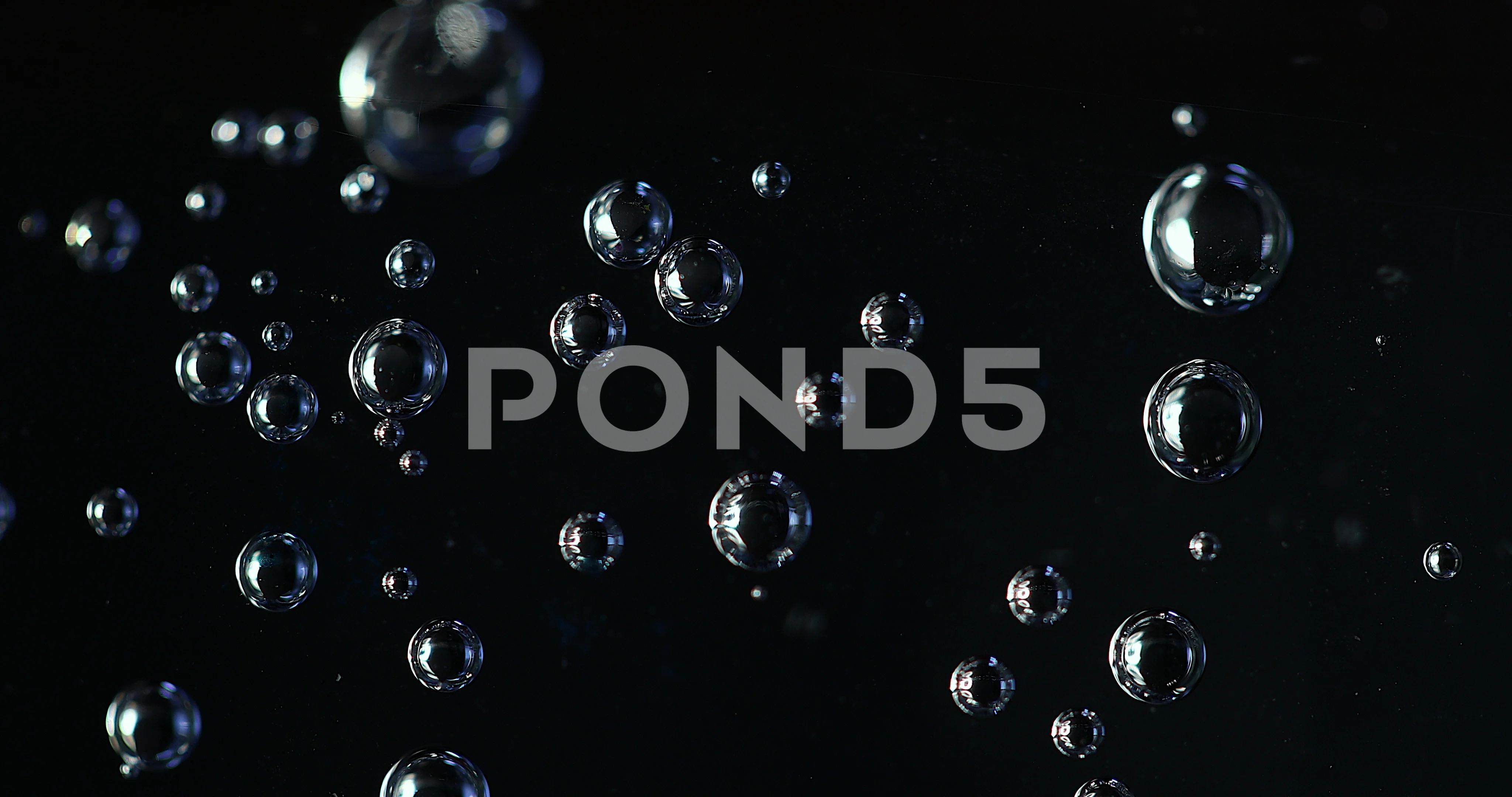 Water Bubbles Black Background