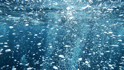 Water bubbles rise to the surface of the... | Stock Video | Pond5