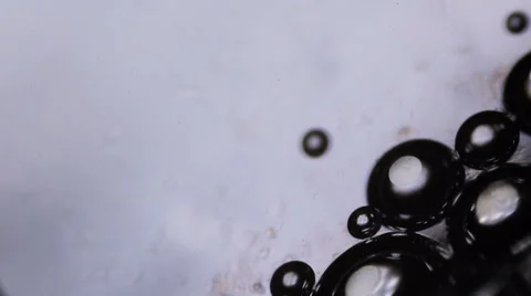 Water bubbles under the microscope | Stock Video | Pond5