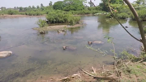 Mekong River Bathing Stock Videos – Royalty-Free HD & 4K Videos | Pond5
