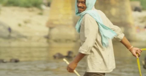 Water buffalo herders wash their buffalo... | Stock Video | Pond5