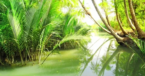 Fresh Water Channel Stock Videos – Royalty-Free HD & 4K Videos | Pond5