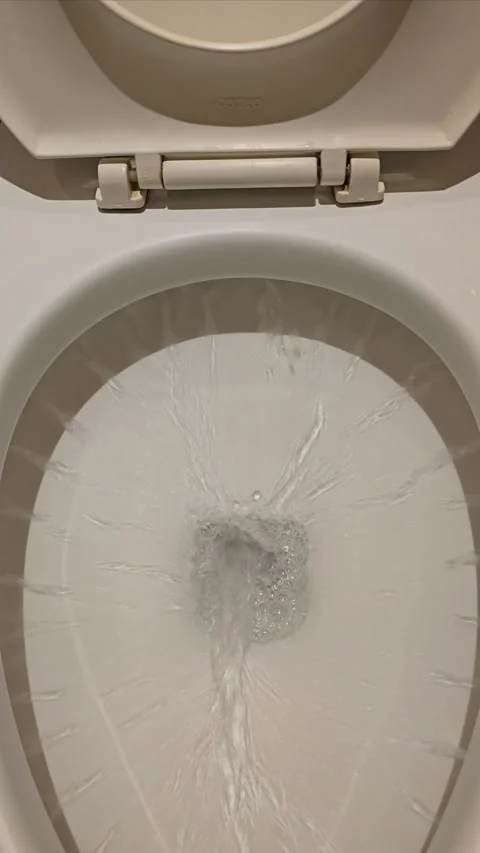 Restroom Toilet Stock Video Footage | Royalty Free Restroom Toilet ...