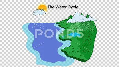 The water cycle diagram, representation of the water cycle in nature ...