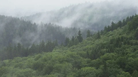 Water Cycle Stock Footage ~ Royalty Free Stock Videos | Pond5