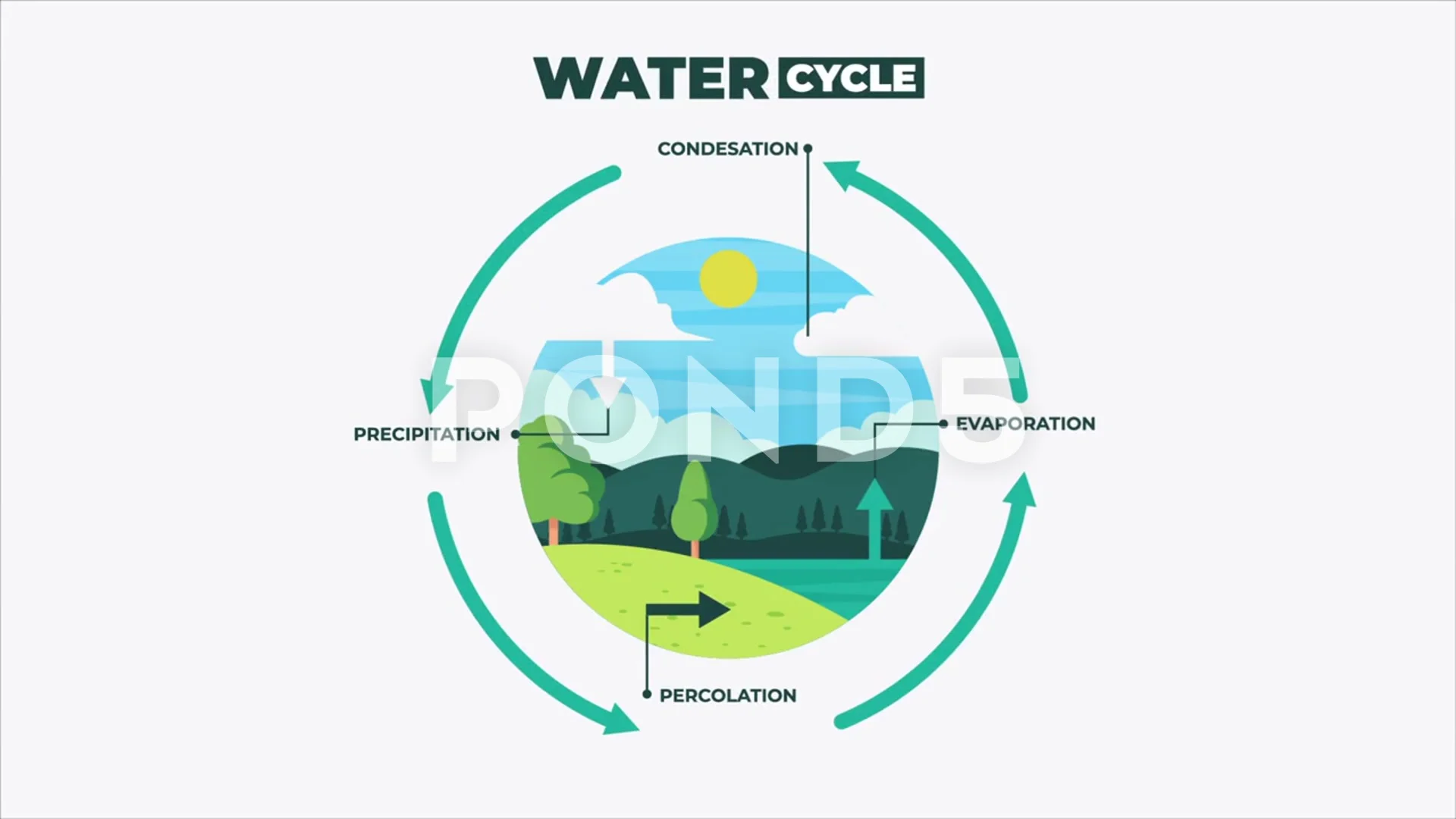 Water Cycle Animation