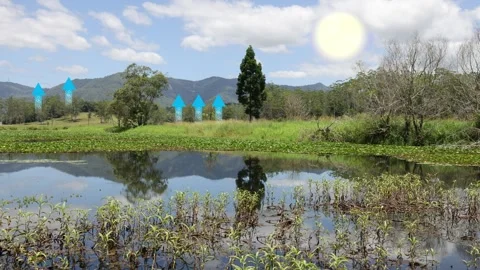 Earth Water Cycle Stock Videos – Royalty-Free HD & 4K Videos | Pond5