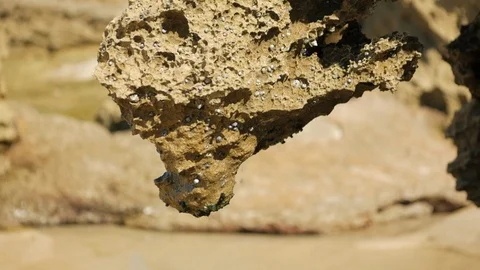 Dripping Water On Rock Stock Video Footage | Royalty Free Dripping ...