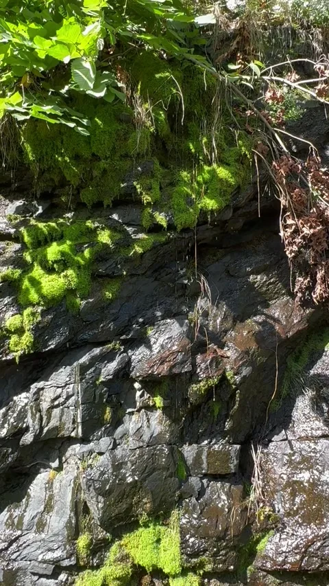 Water Dripping Down Stock Videos – Royalty-Free HD & 4K Videos | Pond5