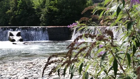 Water Dripping Down Stock Videos – Royalty-Free HD & 4K Videos | Page 2