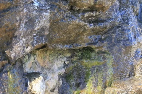 Dripping Water On Rock Stock Video Footage | Royalty Free Dripping ...