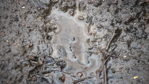 Water dripping into a puddle | Stock Video | Pond5