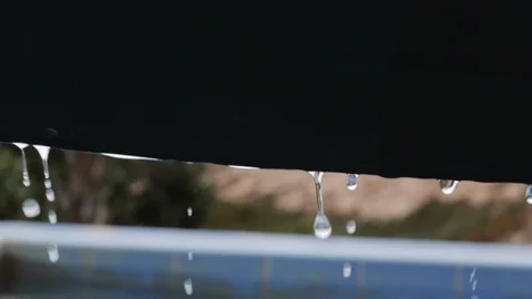 Dripping Wet Stock Footage ~ Royalty Free Stock Videos | Pond5