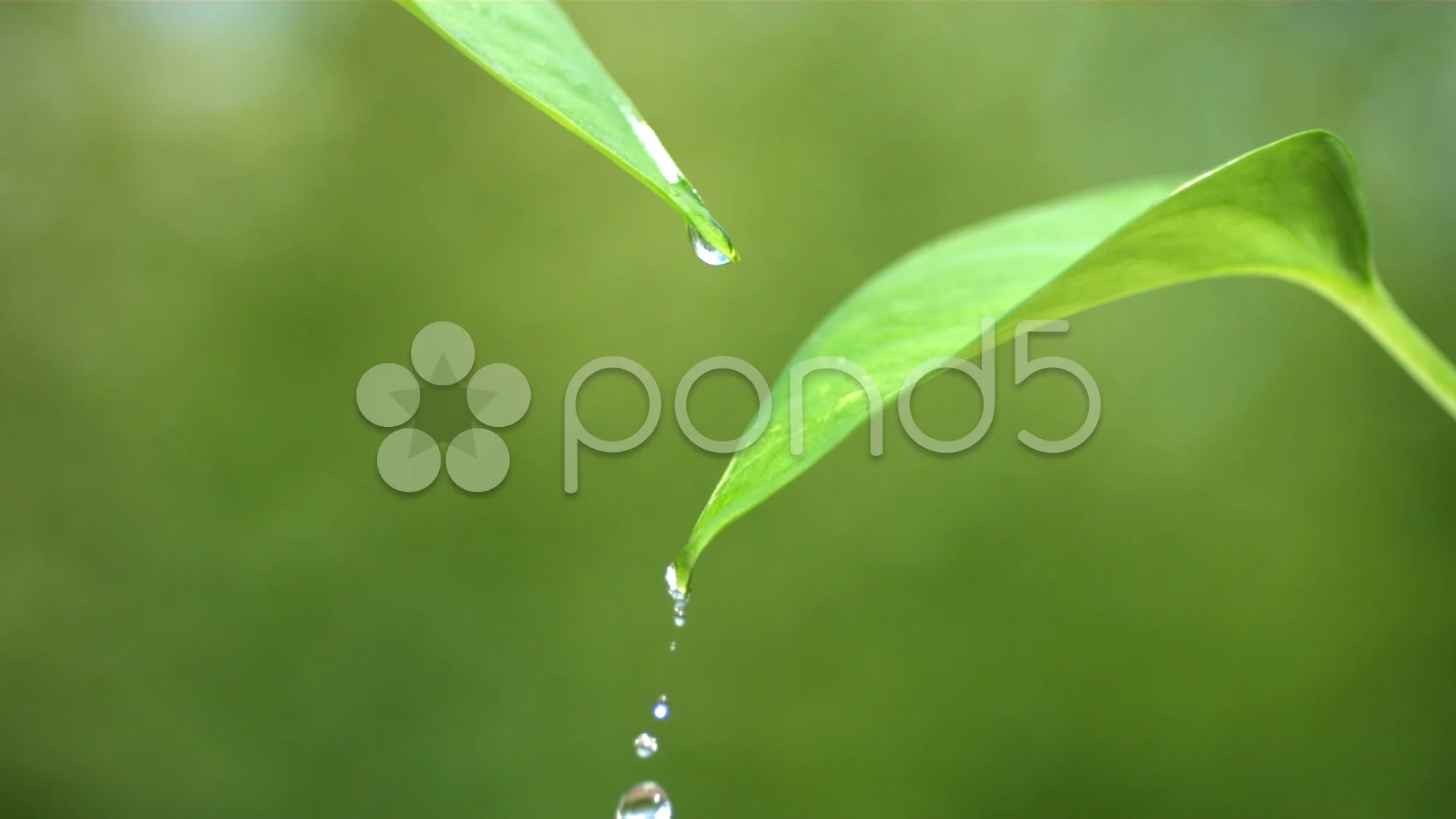 Water Trickle