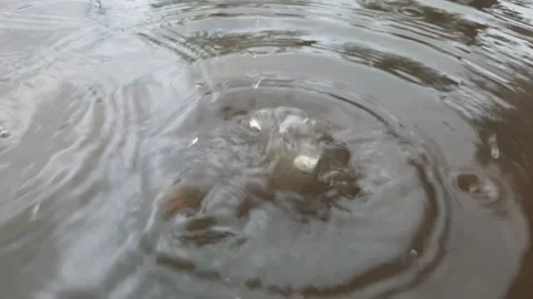 water drop splash, monsoon season rainy ... | Stock Video | Pond5
