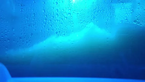 Water Condensation Transparent Stock Videos – Royalty-Free HD & 4K ...