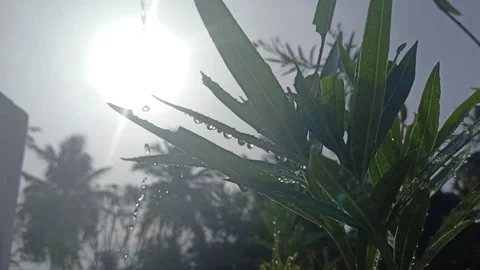 Spitting Water Stock Footage ~ Royalty Free Stock Videos | Pond5