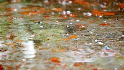 Water drops falling down on concrete sur... | Stock Video | Pond5
