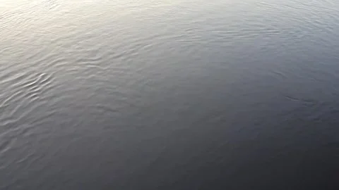 Dark Water Channel Stock Videos – Royalty-Free HD & 4K Videos | Pond5