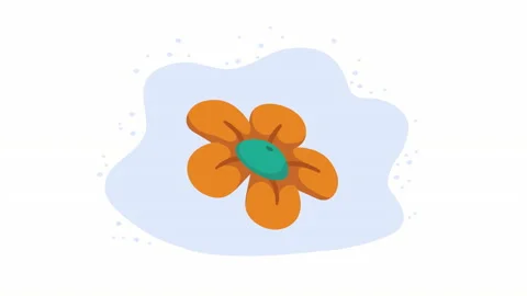 water flower prank comic animation | Stock Video | Pond5