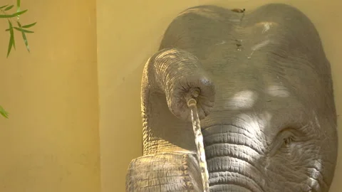 Elephant Fountain Stock Video Footage | Royalty Free Elephant Fountain ...
