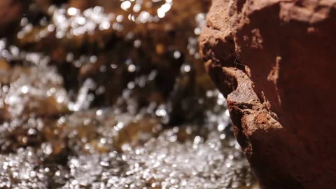 Water Flows in River Hike Zion National ... | Stock Video | Pond5