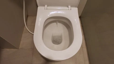 Water flushing into toilet bowl in bathr... | Stock Video | Pond5
