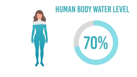 Water Level in Human Body on white and g... | Stock Video | Pond5