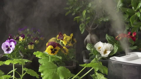 Water mist stream from a humidifier on f... | Stock Video | Pond5