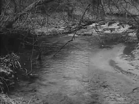 Stream Method Stream Stock Videos – Royalty-Free HD & 4K Videos | Pond5