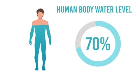 Water Percentage in Human Body on white ... | Stock Video | Pond5