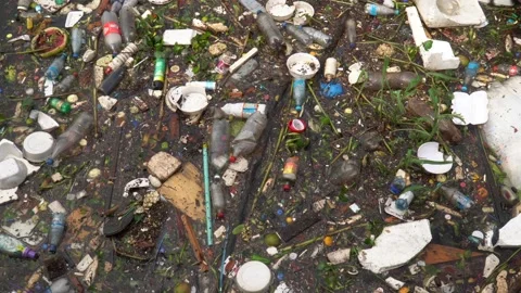 Water pollution in the Amazon River. Clo... | Stock Video | Pond5